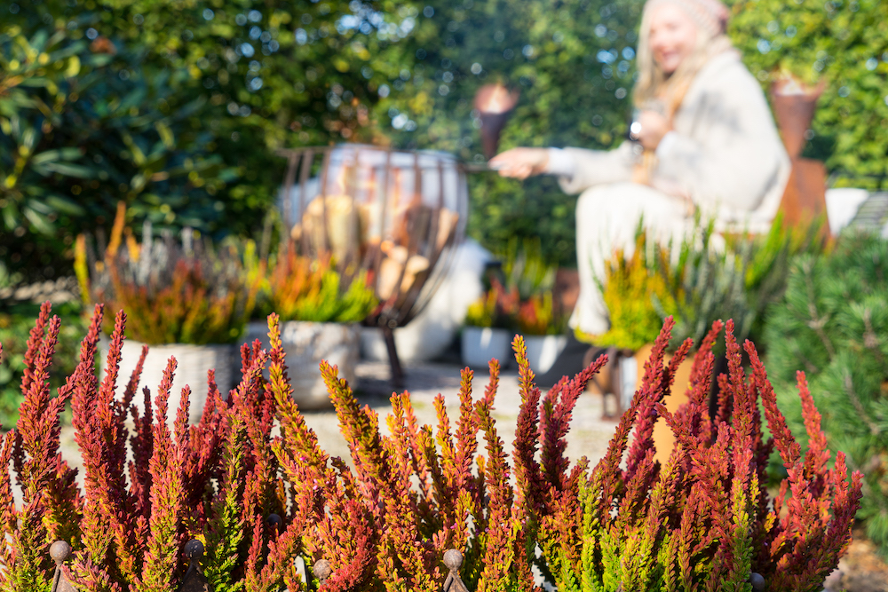 Sunset Fire geeft de herfst een warme gloed - Styling-ID